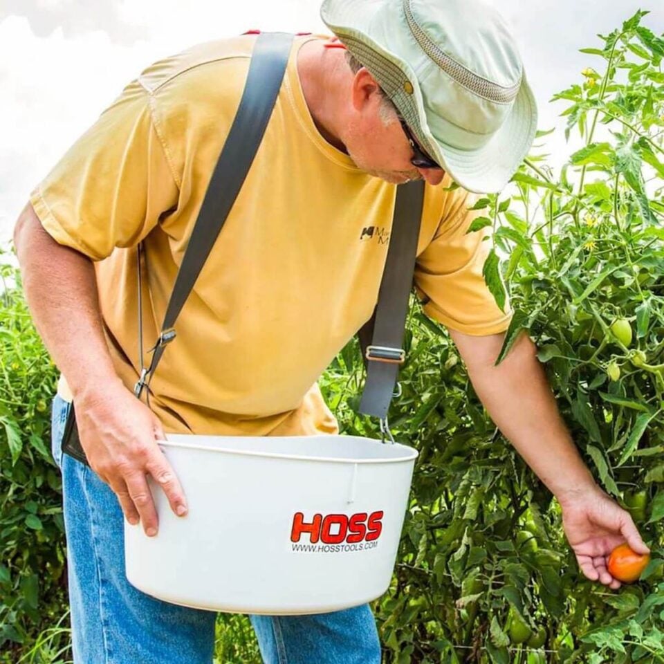 The 7 Best Fruit Picking Baskets - Minneopa Orchards