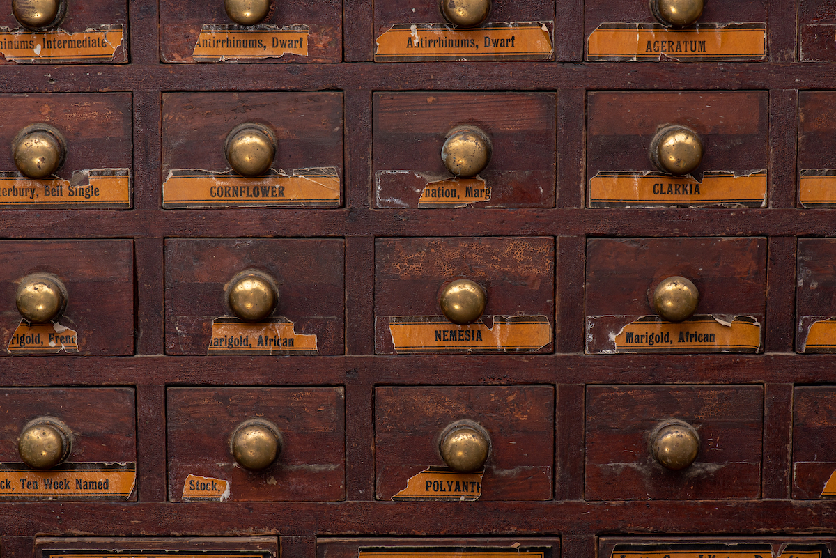 The 5 Best Seed Organizers to Keep Your Seeds in Order - Minneopa Orchards