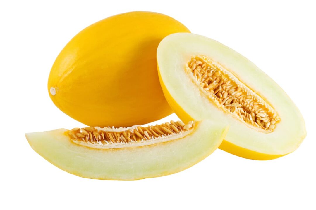 How to Plant Melons - Minneopa Orchards
