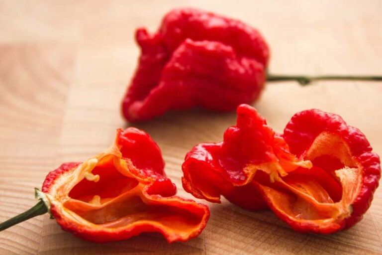 All About the Trinidad Scorpion Pepper - Minneopa Orchards