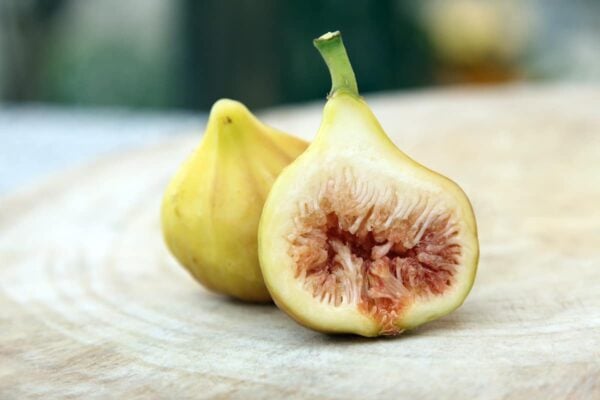 All About the Peter's Honey Fig - Minneopa Orchards