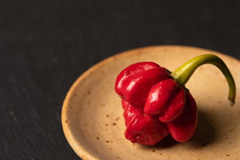 All About the Trinidad Scorpion Pepper - Minneopa Orchards