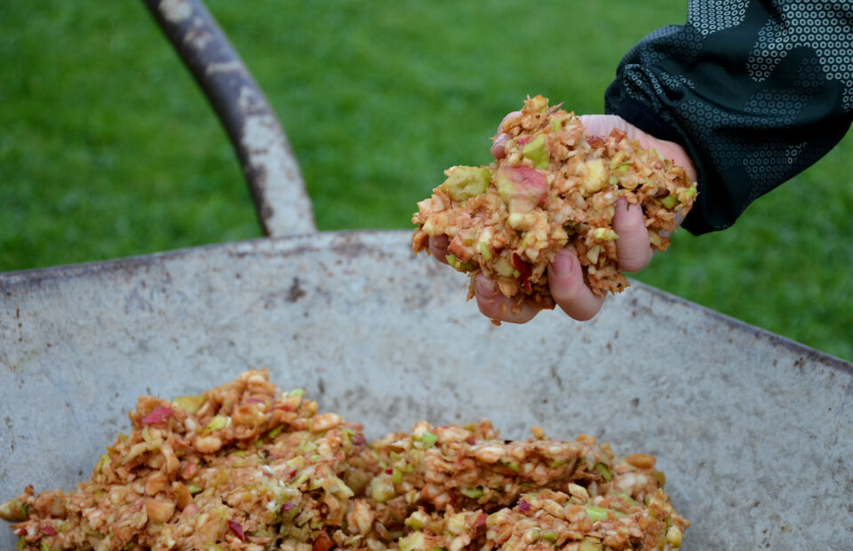 The Best Apple Grinder For 2023 - Minneopa Orchards