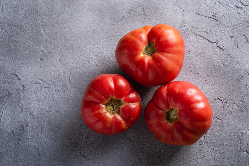 All About The Enormous Beefmaster Tomato - Minneopa Orchards