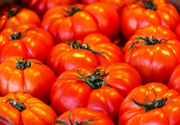 All About The Enormous Beefmaster Tomato - Minneopa Orchards