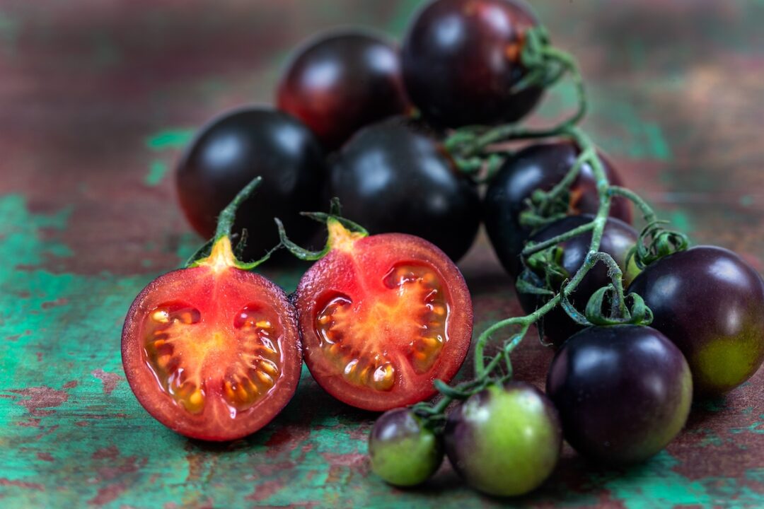 All About The Blue Beauty Tomato - Minneopa Orchards