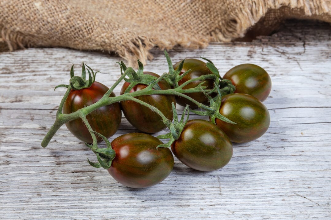 All About The Intriguing Chocolate Sprinkles Tomato - Minneopa Orchards
