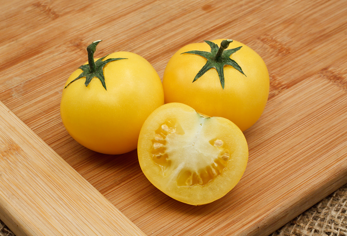 All About The Lemon Boy Tomato - Minneopa Orchards