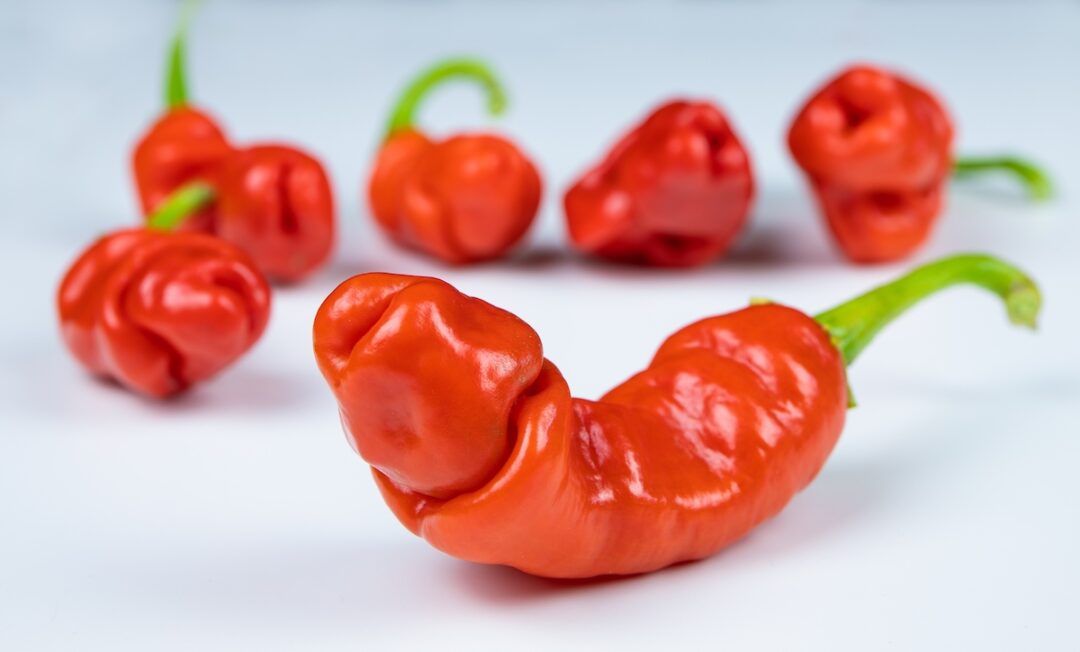 All About the Burning Peter Pepper - Minneopa Orchards