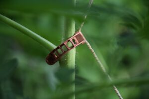 The 4 Best Tomato Clips and How To Use Them - Minneopa Orchards
