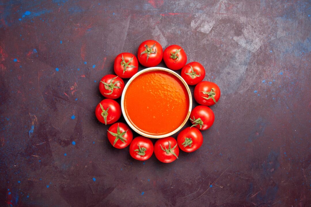 The Best Tomato Strainer For 2024 - Minneopa Orchards