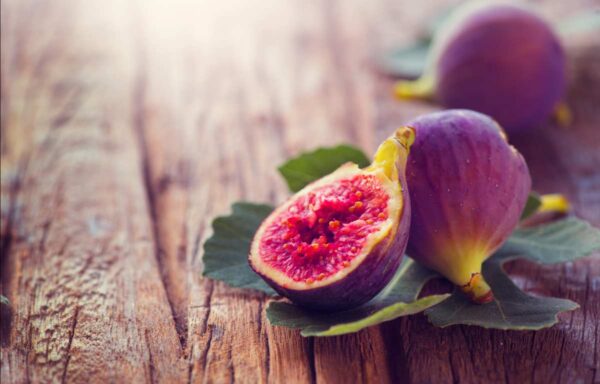 The 5 Best Fig Tree Fertilizers To Help You Grow Delicious Figs ...