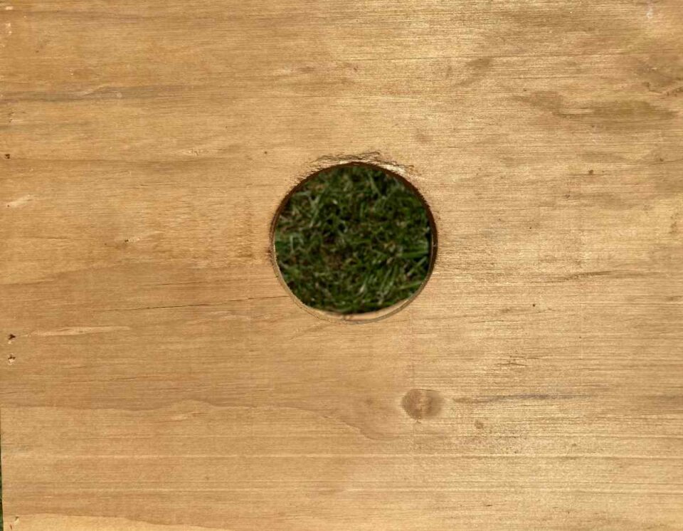 The Best Bee Vacuum for Beekeepers - Minneopa Orchards