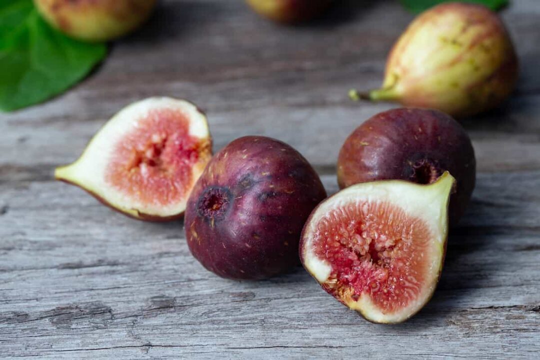 21 Fig Tree Types You Need to Know - Minneopa Orchards