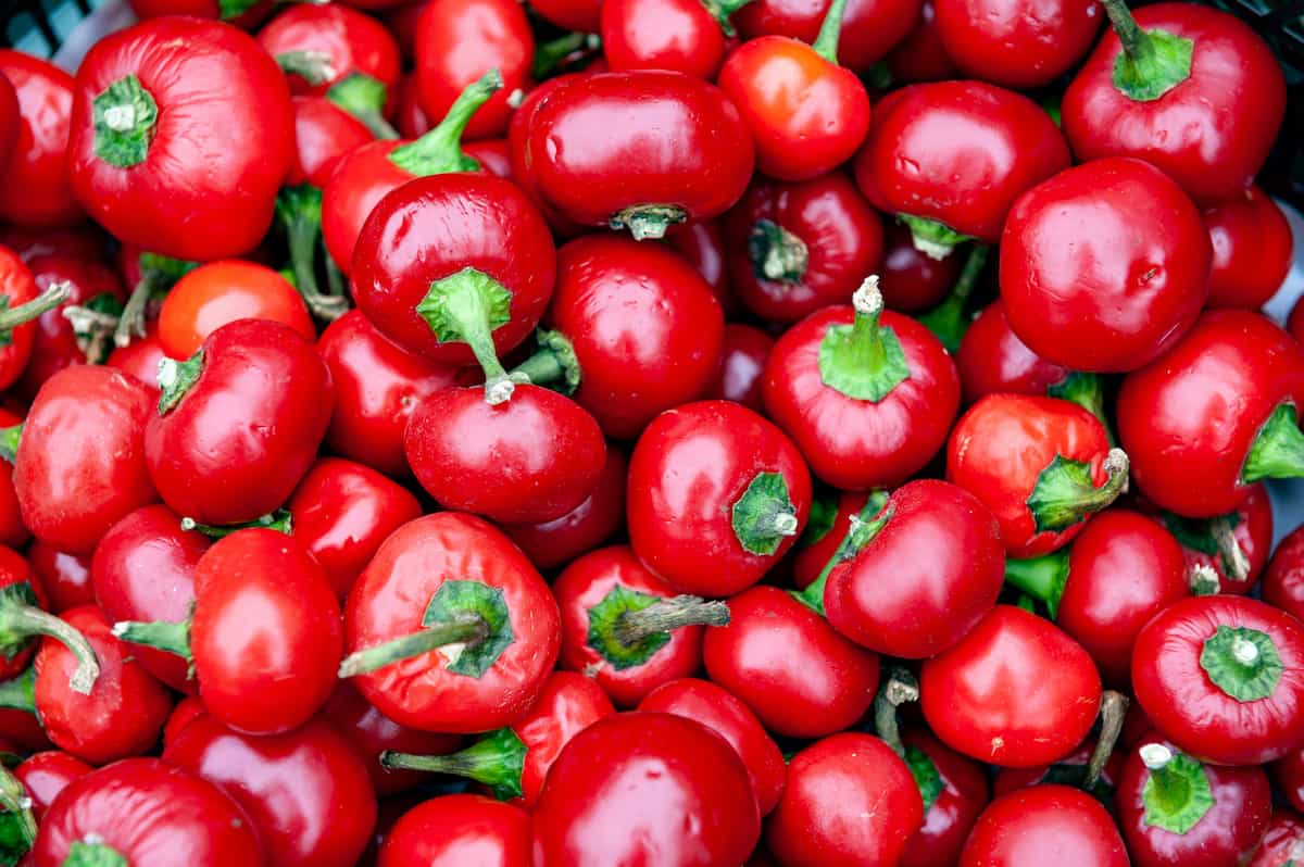 All About the Cherry Pepper - Minneopa Orchards