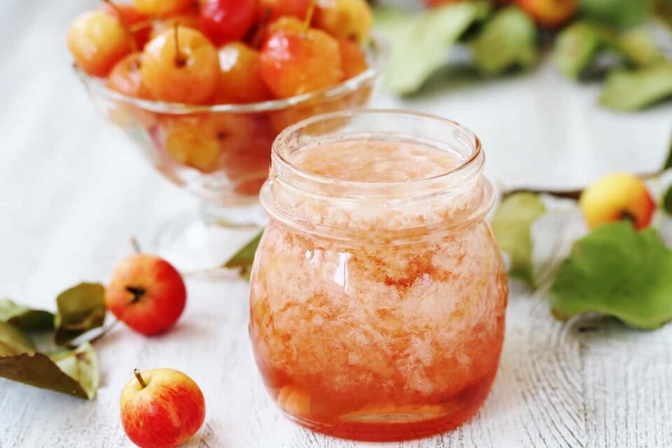 The Firebird Crabapple Tree - Minneopa Orchards