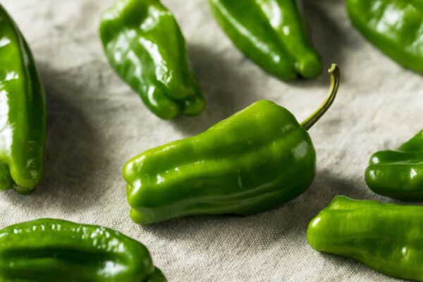 All About the Gypsy Pepper - Minneopa Orchards