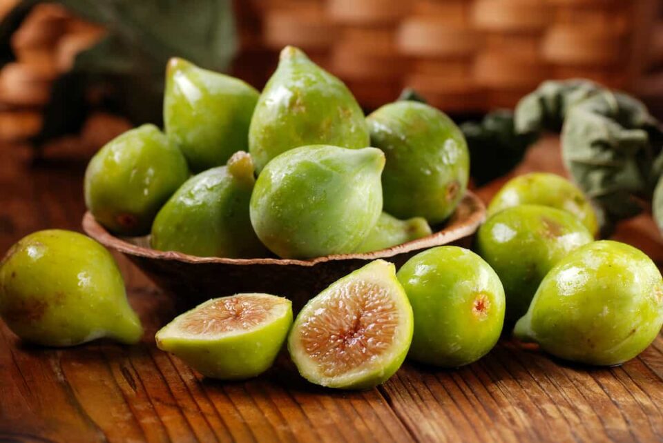 All About the Peter's Honey Fig - Minneopa Orchards