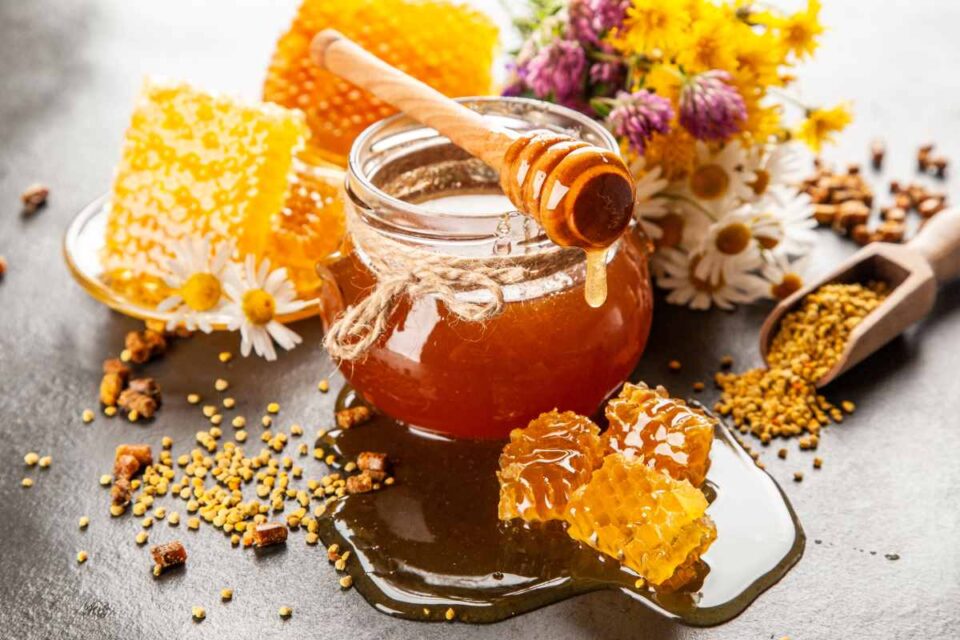 How Do Bees Make Honey? Learn About This Amazing Process - Minneopa ...
