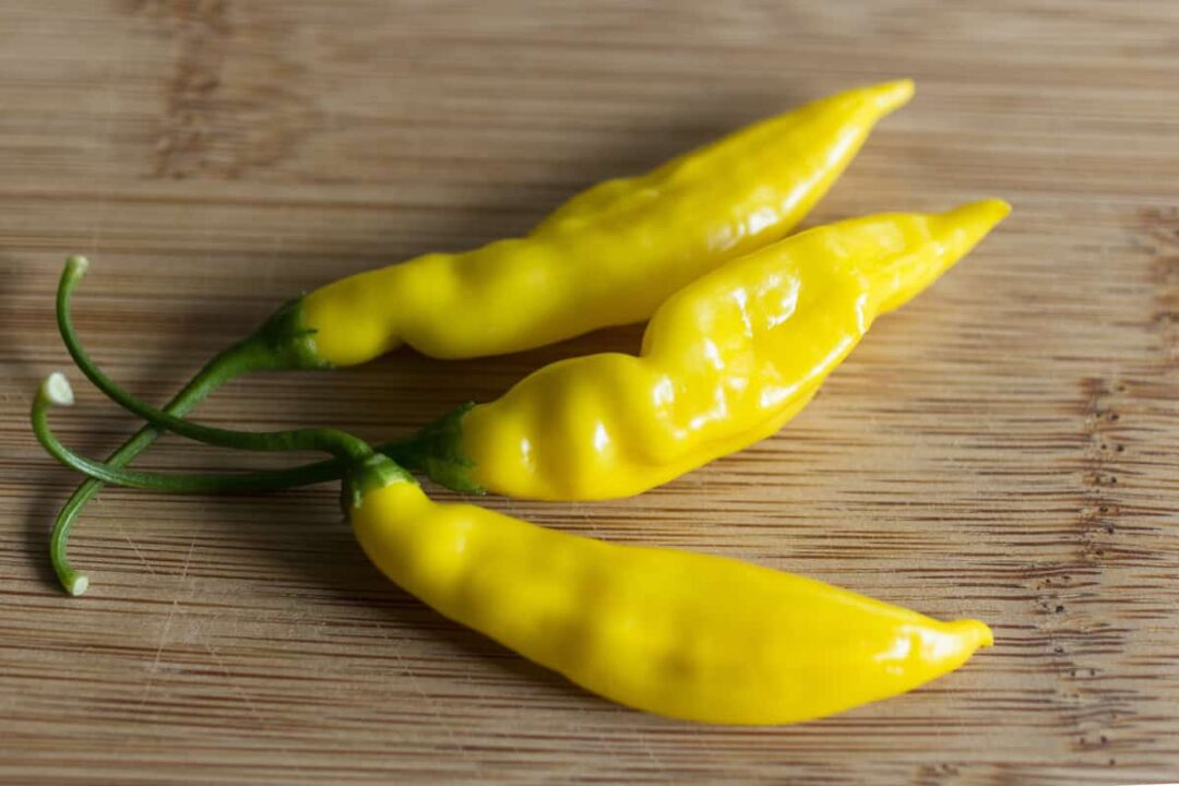All About the Lemon Drop Pepper - Minneopa Orchards