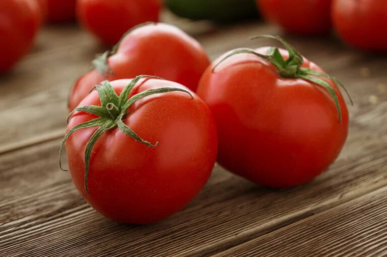 All About the Siletz Tomato - Minneopa Orchards