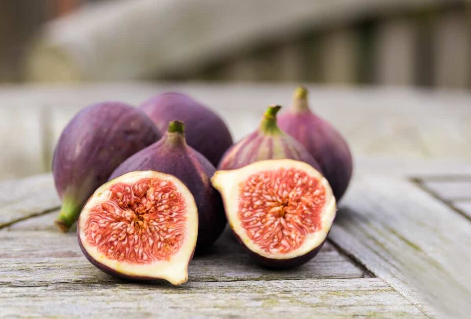 All About the Black Jack Fig - Minneopa Orchards