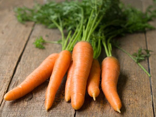 The Ultimate Guide to Growing Carrots Indoors: Fresh Carrots All Year ...