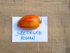 All About the Speckled Roman Tomato - Minneopa Orchards