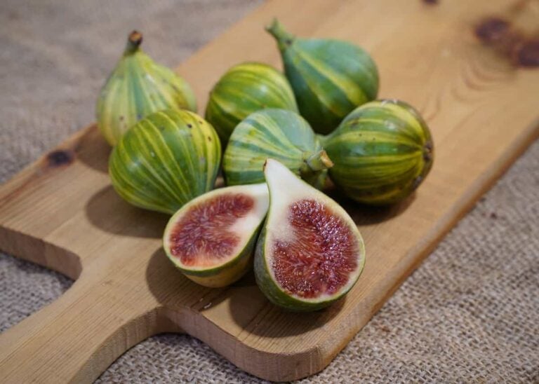 All About the Panache Tiger Fig - Minneopa Orchards