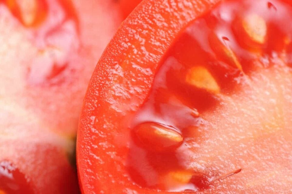 All About the Solar Flare Tomato - Minneopa Orchards