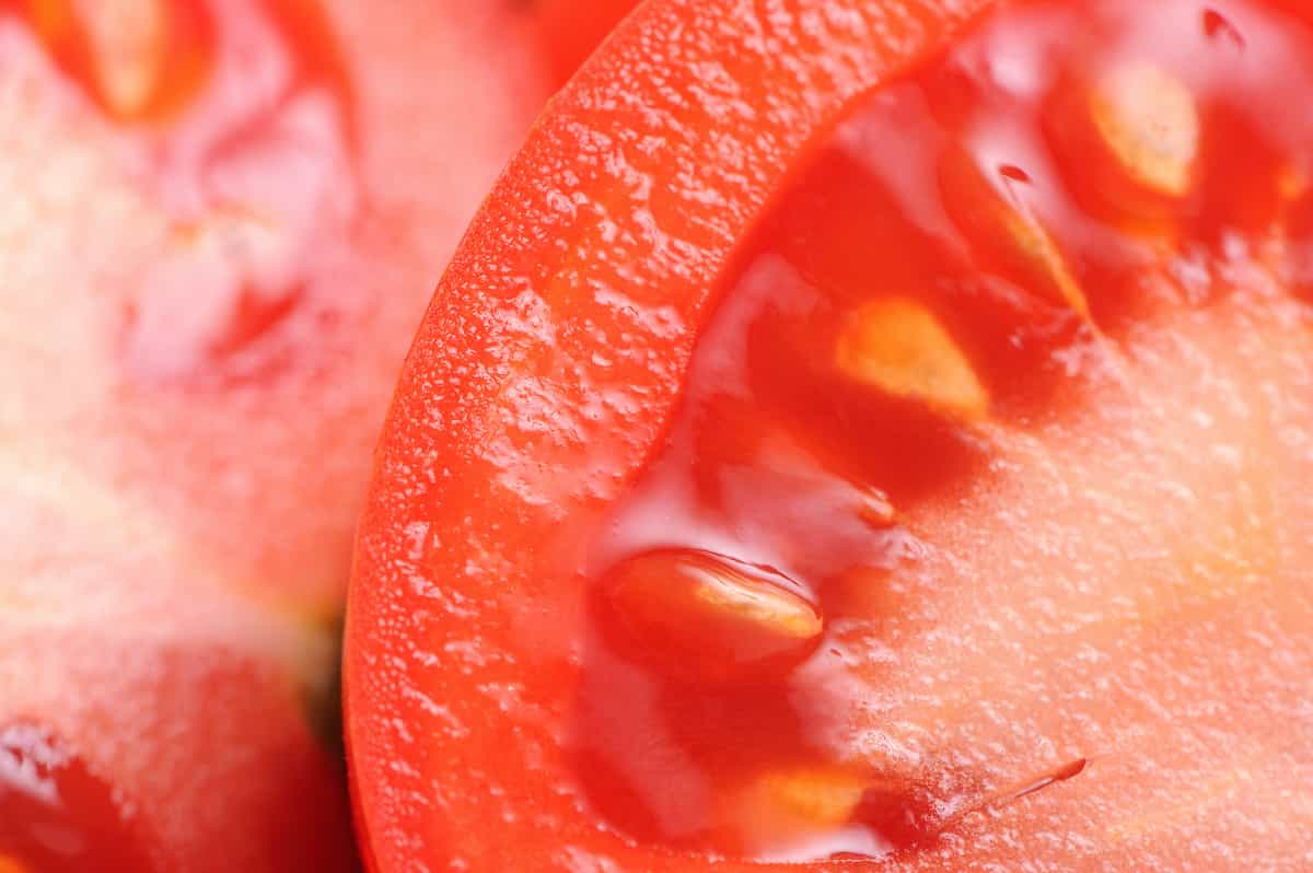 All About the Solar Flare Tomato - Minneopa Orchards