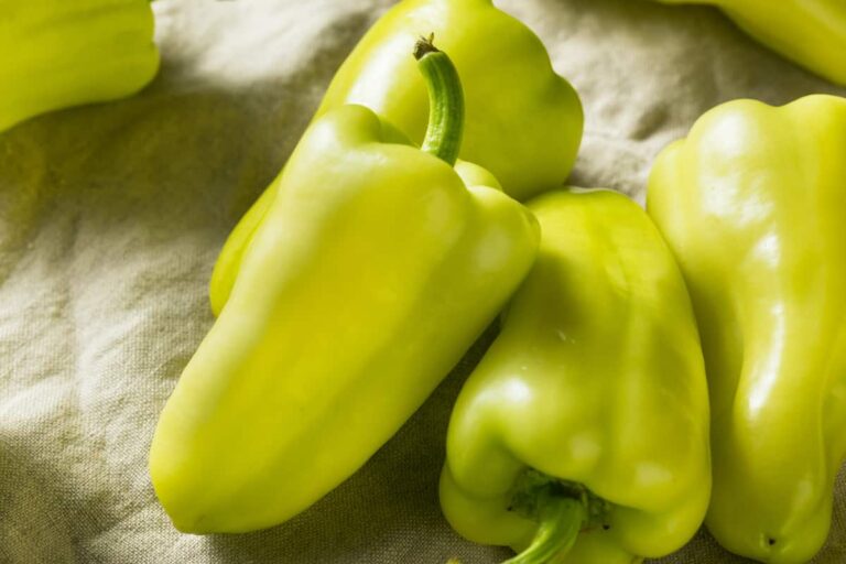 All About the Gypsy Pepper - Minneopa Orchards