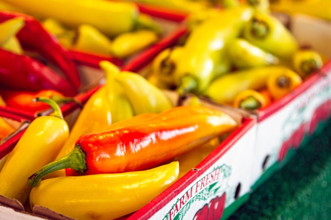 All About the Banana Pepper - Minneopa Orchards
