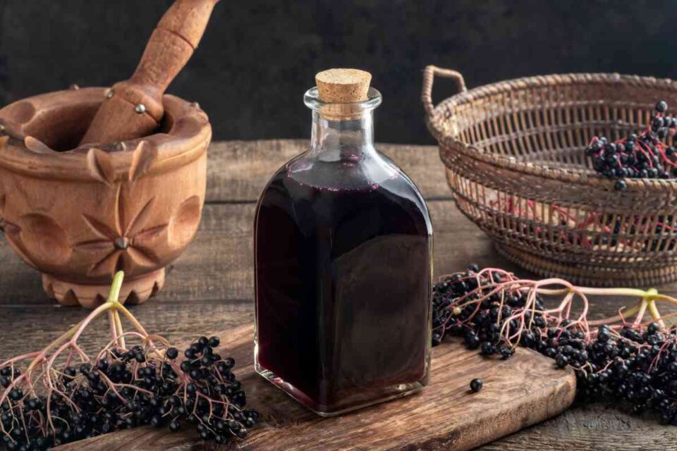 Elderberry Benefits: From Improved Immunity to Better Heart Health ...
