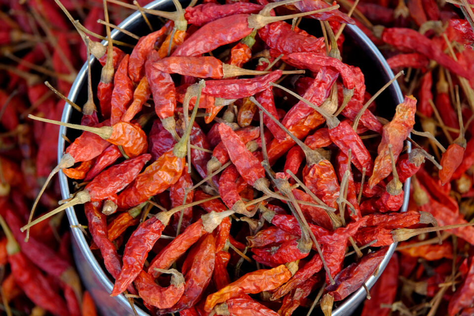 All About the Famous Cayenne Pepper - Minneopa Orchards
