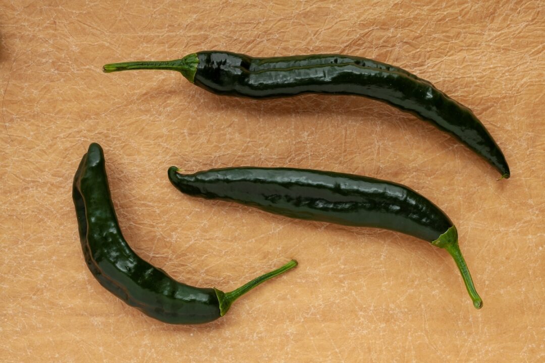 All About the Versatile Chilaca Pepper - Minneopa Orchards