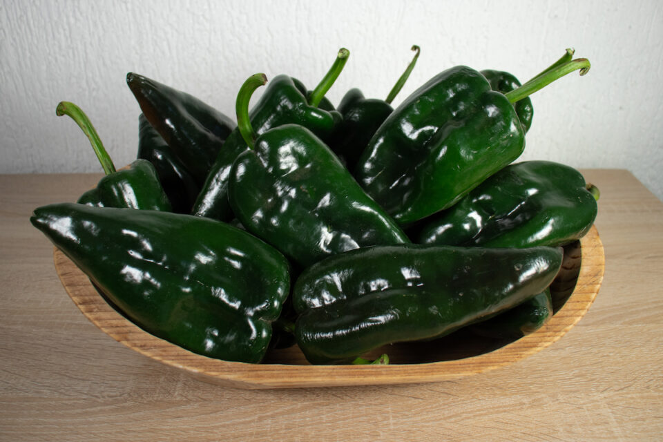 All About the Beautiful Poblano Pepper - Minneopa Orchards