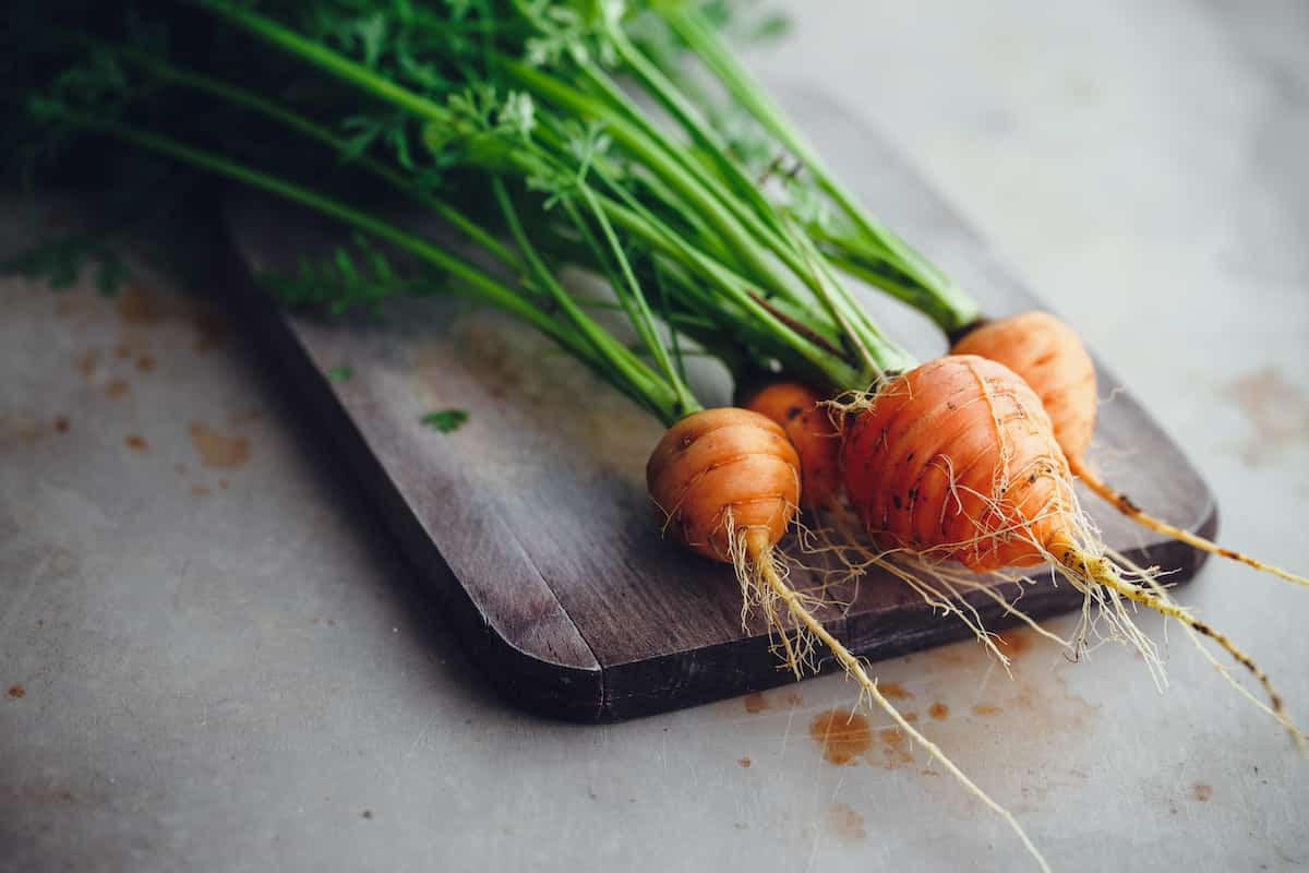 The Ultimate Guide to Growing Carrots Indoors: Fresh Carrots All Year ...