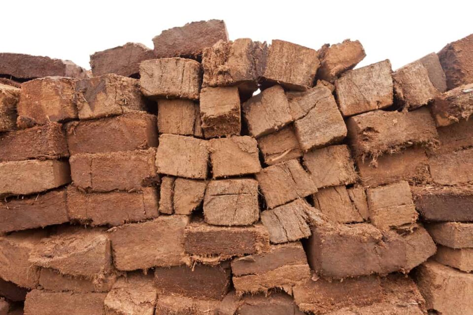 The Environmental Impacts of Peat Moss and 5 Better Options for Your ...