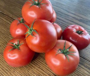 How to Make Tomato Paste - Minneopa Orchards