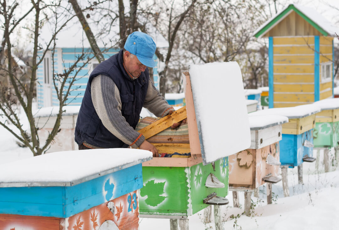 The Complete Guide To Honey Bee Hive Winter Insulation - Minneopa Orchards