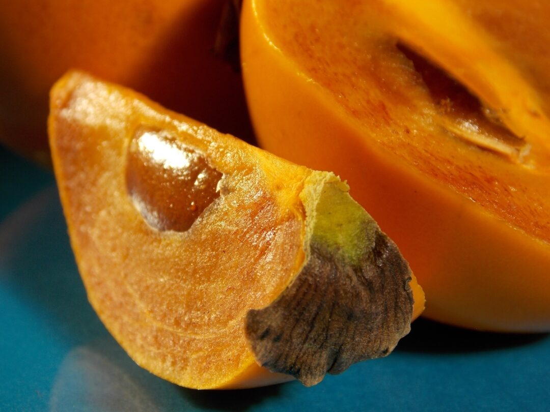 The Chocolate Persimmon tree - Minneopa Orchards