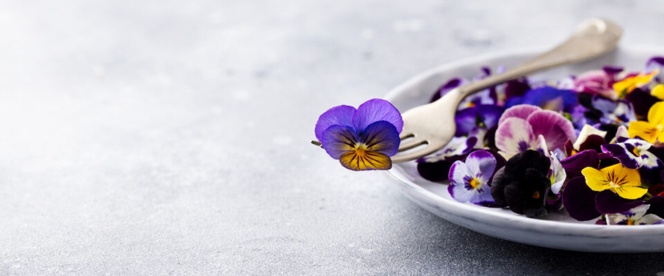 10 Edible Flowers For Cocktails: Add Some Flair To Your Drinks ...