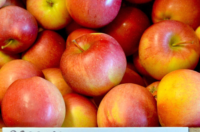 All About Heirloom Apple Trees and 21 Popular Varieties - Minneopa Orchards