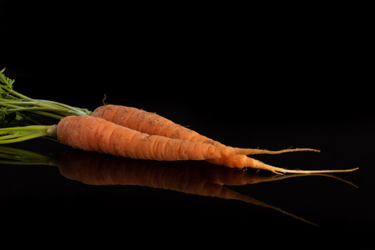 All About the Imperator Carrot - Minneopa Orchards