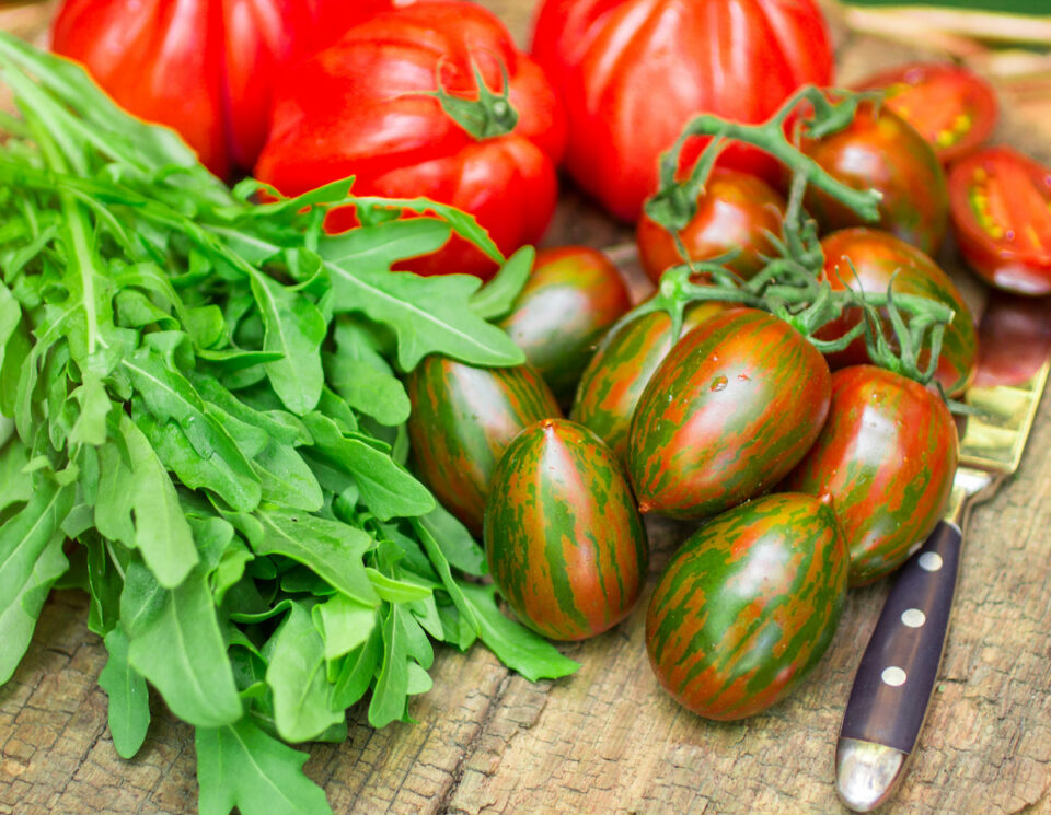 All About the Lucky Tiger Tomato - Minneopa Orchards