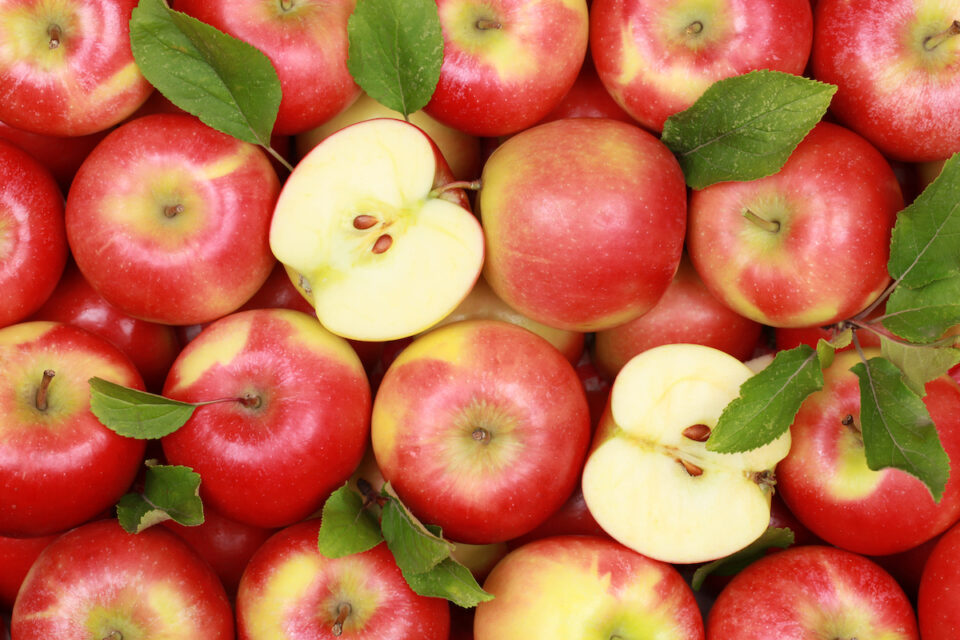 The Swiss Gourmet Apple - Minneopa Orchards