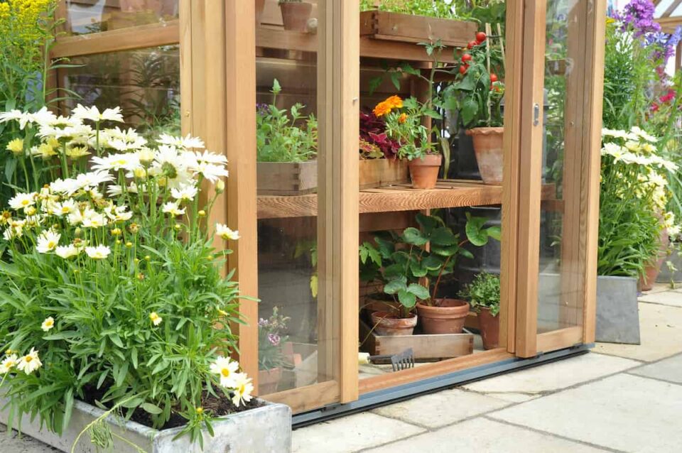 Greenhouse Gardening 101: Getting Started With Indoor Growing ...