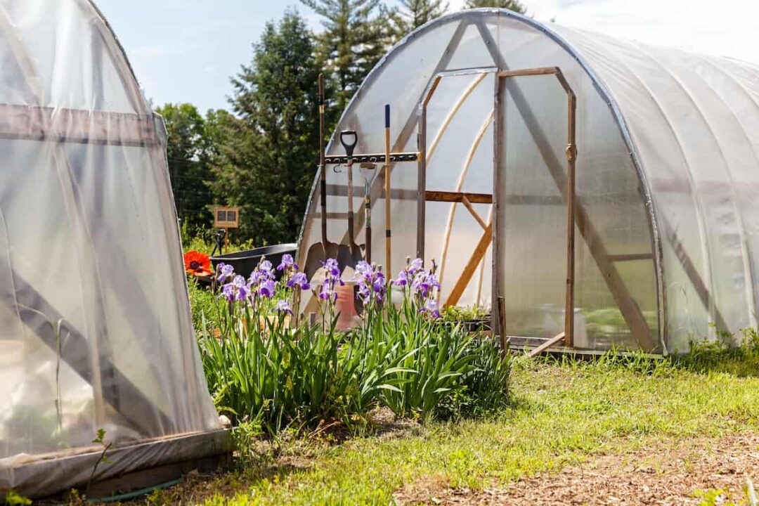 Gardening On The Go: The Best Portable Greenhouses For Your Plant Needs ...