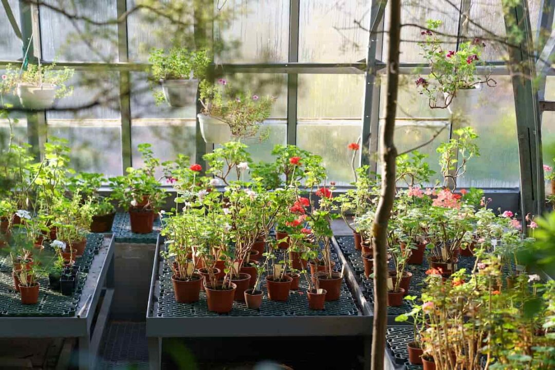 Essential Greenhouse Supplies: A Comprehensive Checklist - Minneopa ...